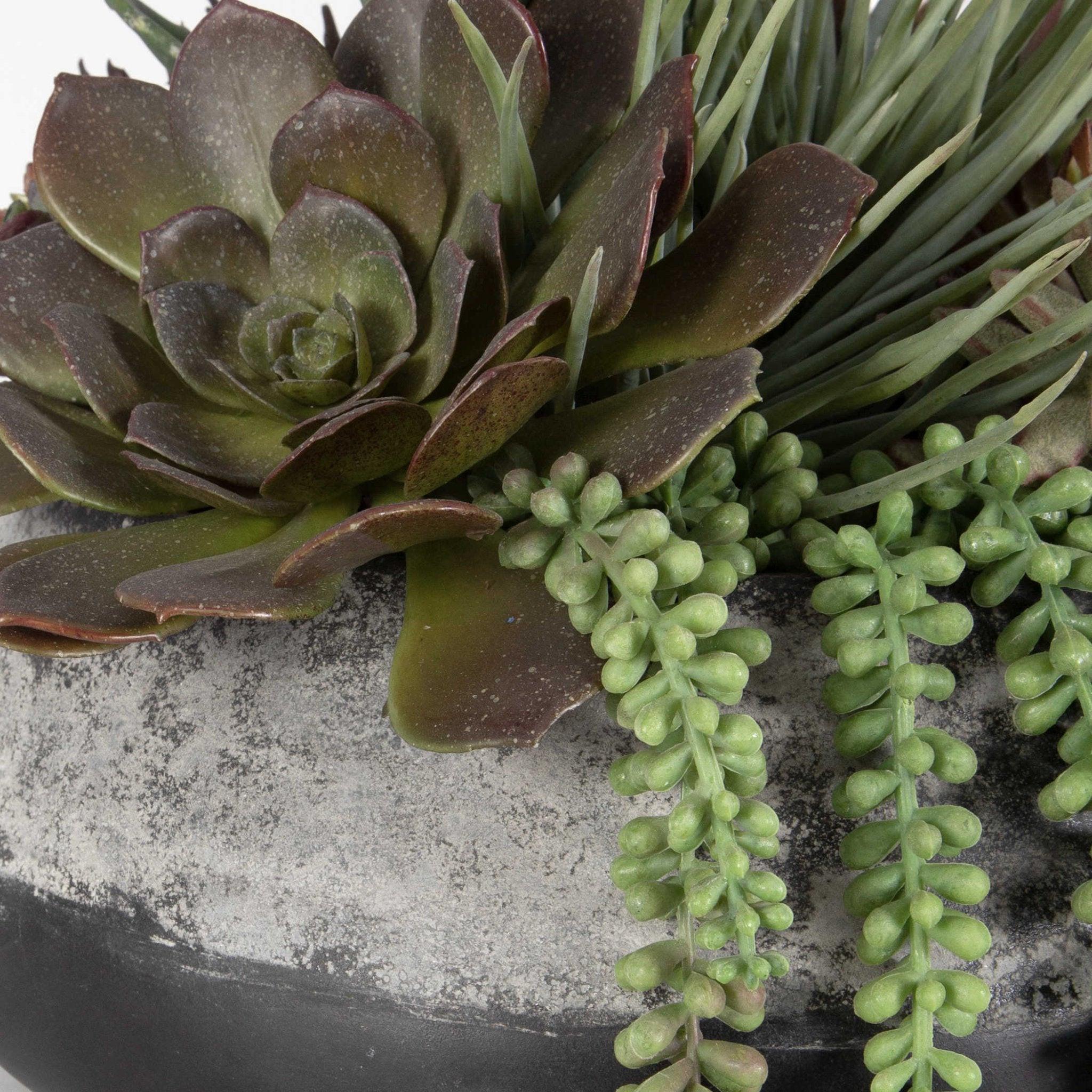Gobi Succulents Centerpiece – Outrageous Interiors and Design