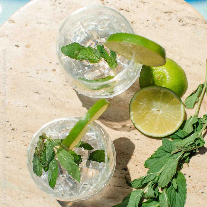 Livenza™ Stemless Wine Glass (set of 6) – Outrageous Interiors and Design